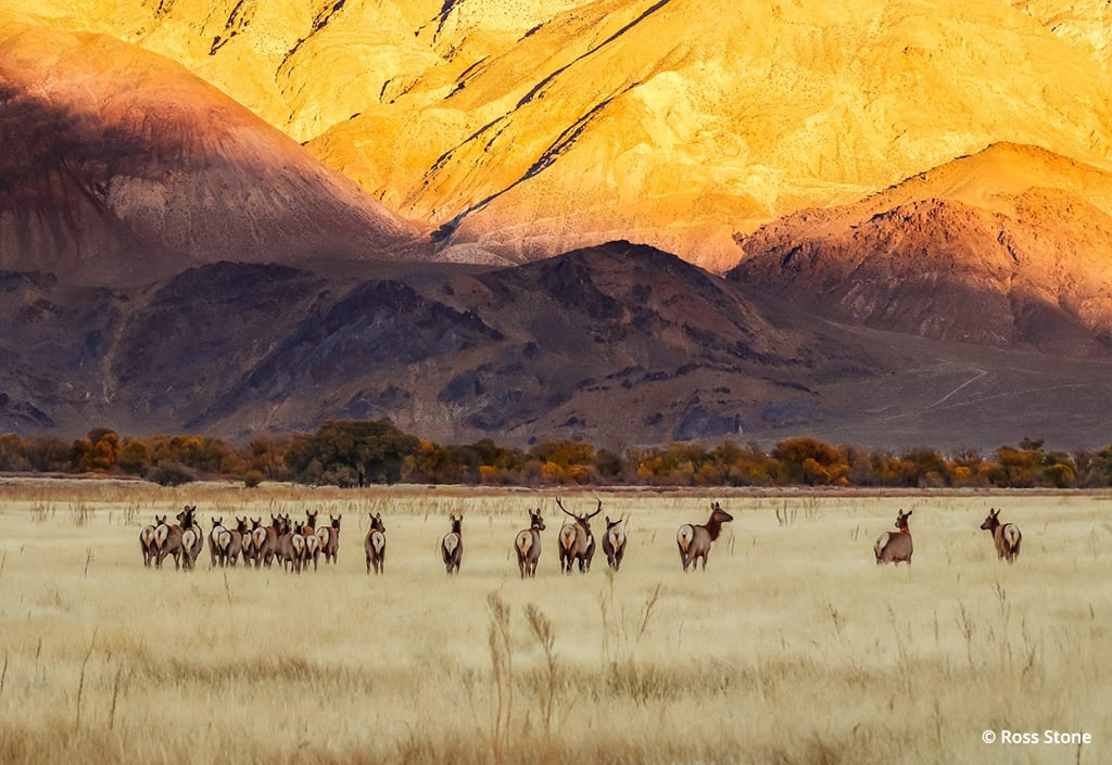 Photo Of The Day By Ross Stone - Outdoor Photographer