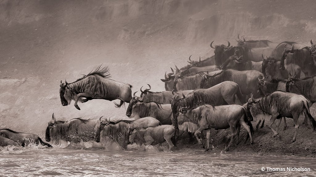 Photo Of The Day By Thomas Nicholson - Outdoor Photographer