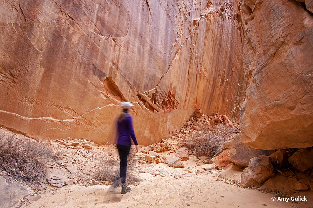 A Wrinkle In Time - Outdoor Photographer