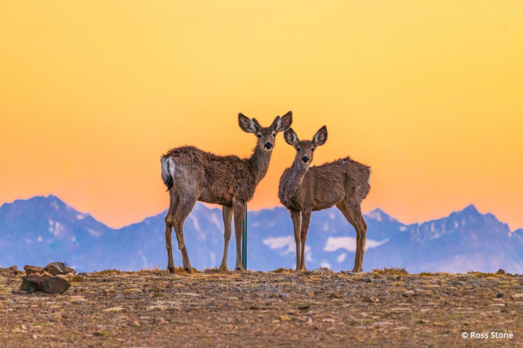 Photo Of The Day By Ross Stone - Outdoor Photographer