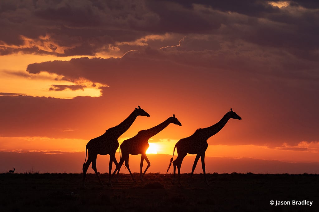 A Full Immersion Experience - Outdoor Photographer