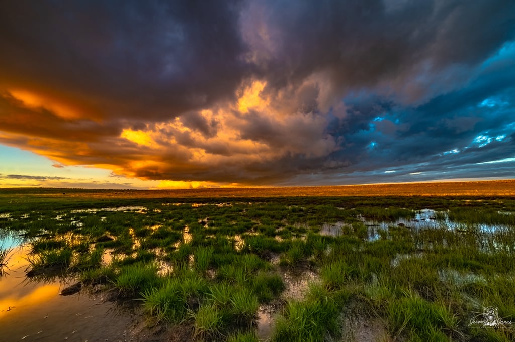 Photo Of The Day By Jeremy Janus - Outdoor Photographer