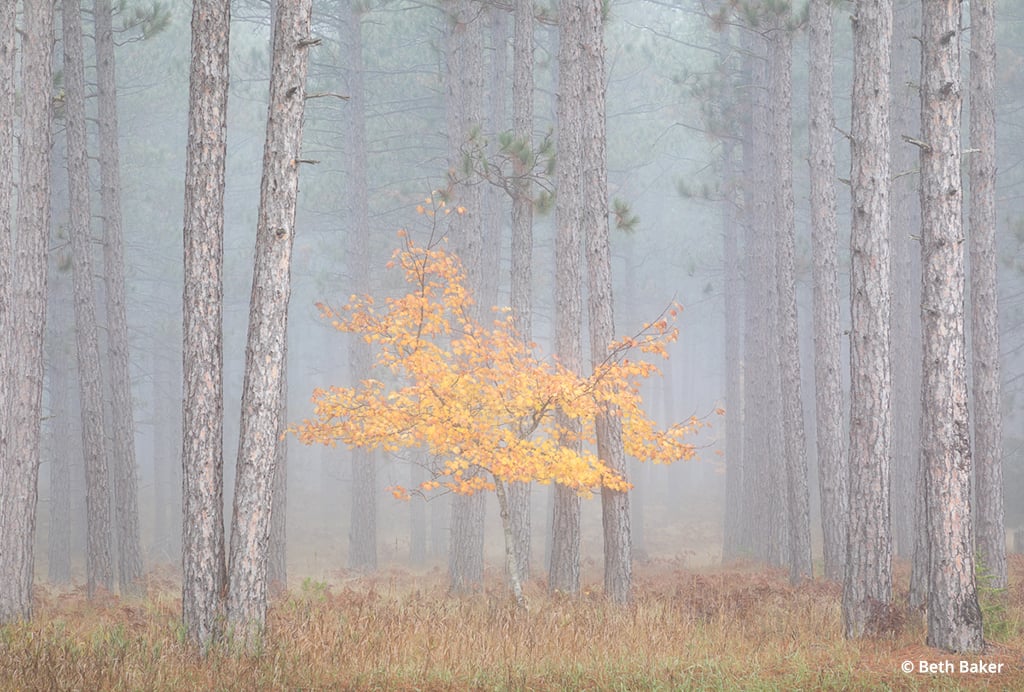Photo Of The Day By Beth Baker - Outdoor Photographer