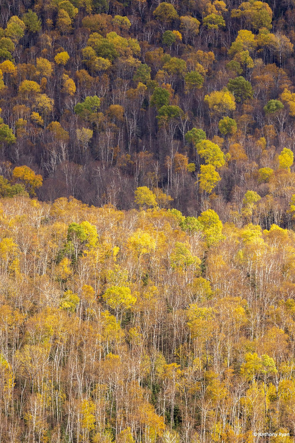 Photo Of The Day By Anthony Ryan - Outdoor Photographer