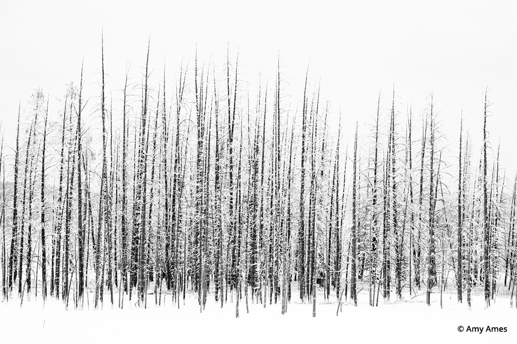 Photo Of The Day By Amy Ames - Outdoor Photographer