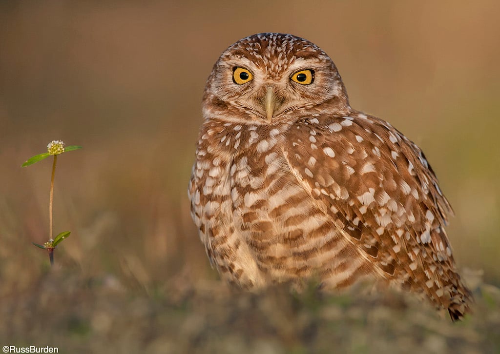 Watch Your Step To Find Great Groundscapes - Outdoor Photographer