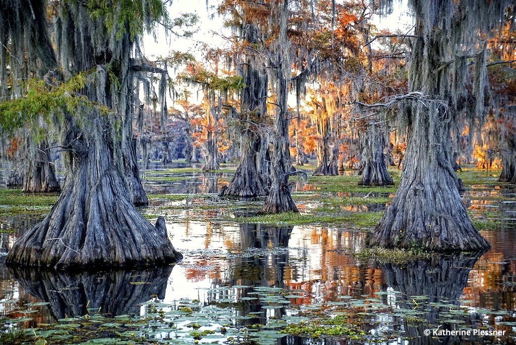 Photo Of The Day By Katherine Plessner - Outdoor Photographer