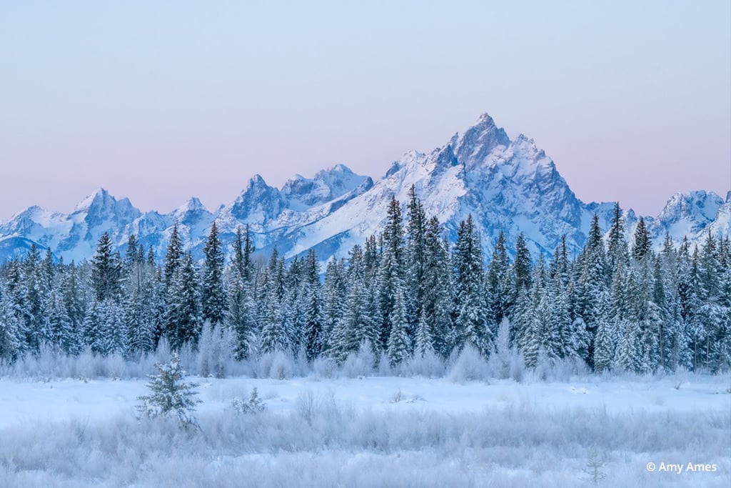 Photo Of The Day By Amy Ames - Outdoor Photographer